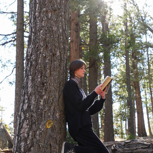 The Academy | Idyllwild Arts - Residential Arts High School