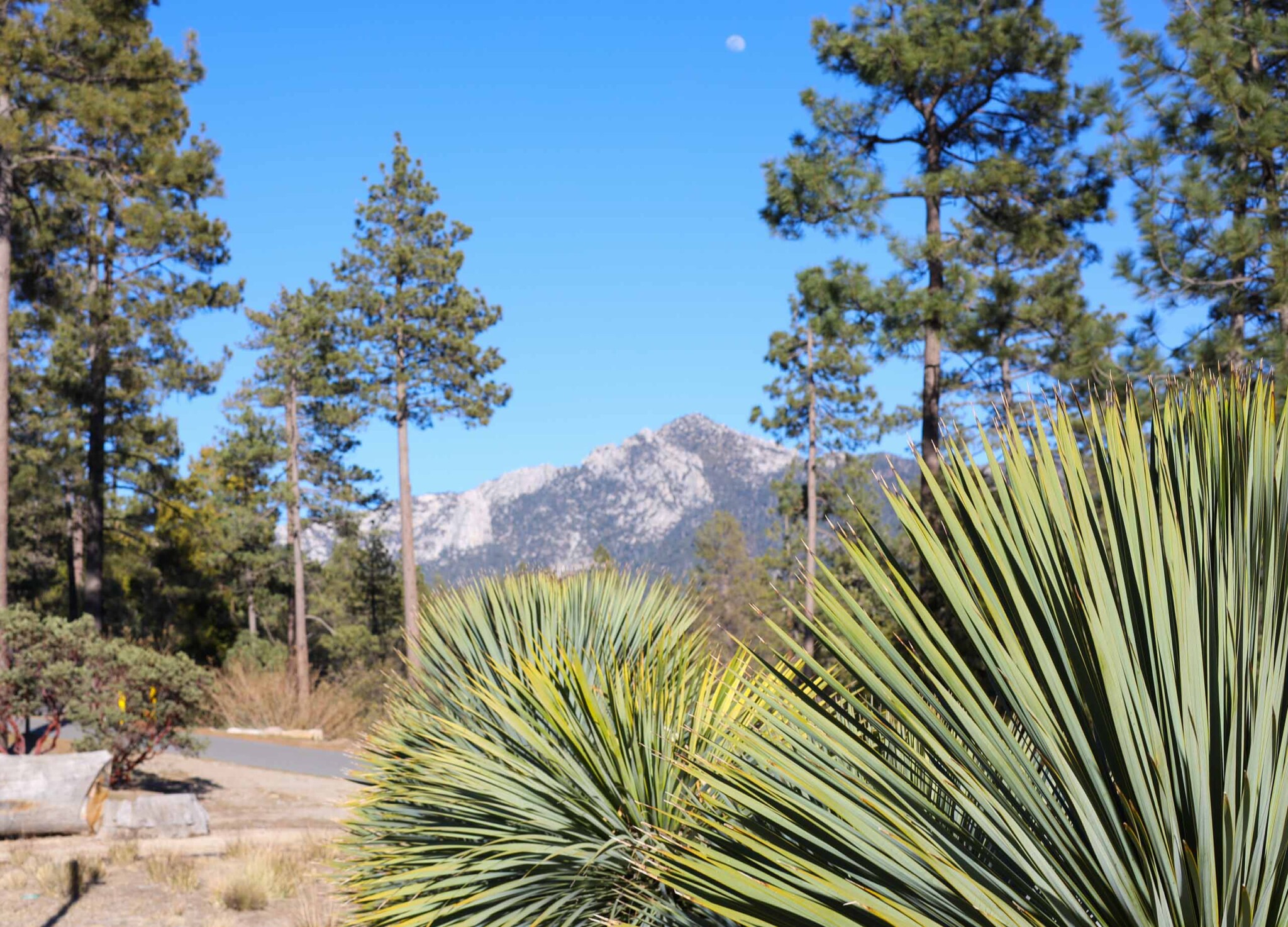 Our Campus | Idyllwild Arts Academy Campus