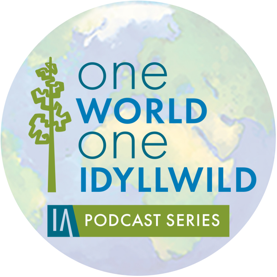 Podcasts | Idyllwild Arts - Art School in Southern California