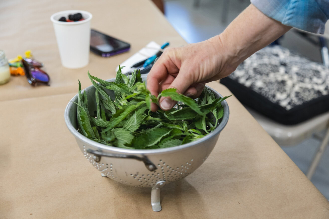 California Native Plants: The Edible Landscape: Native Foods — Past ...